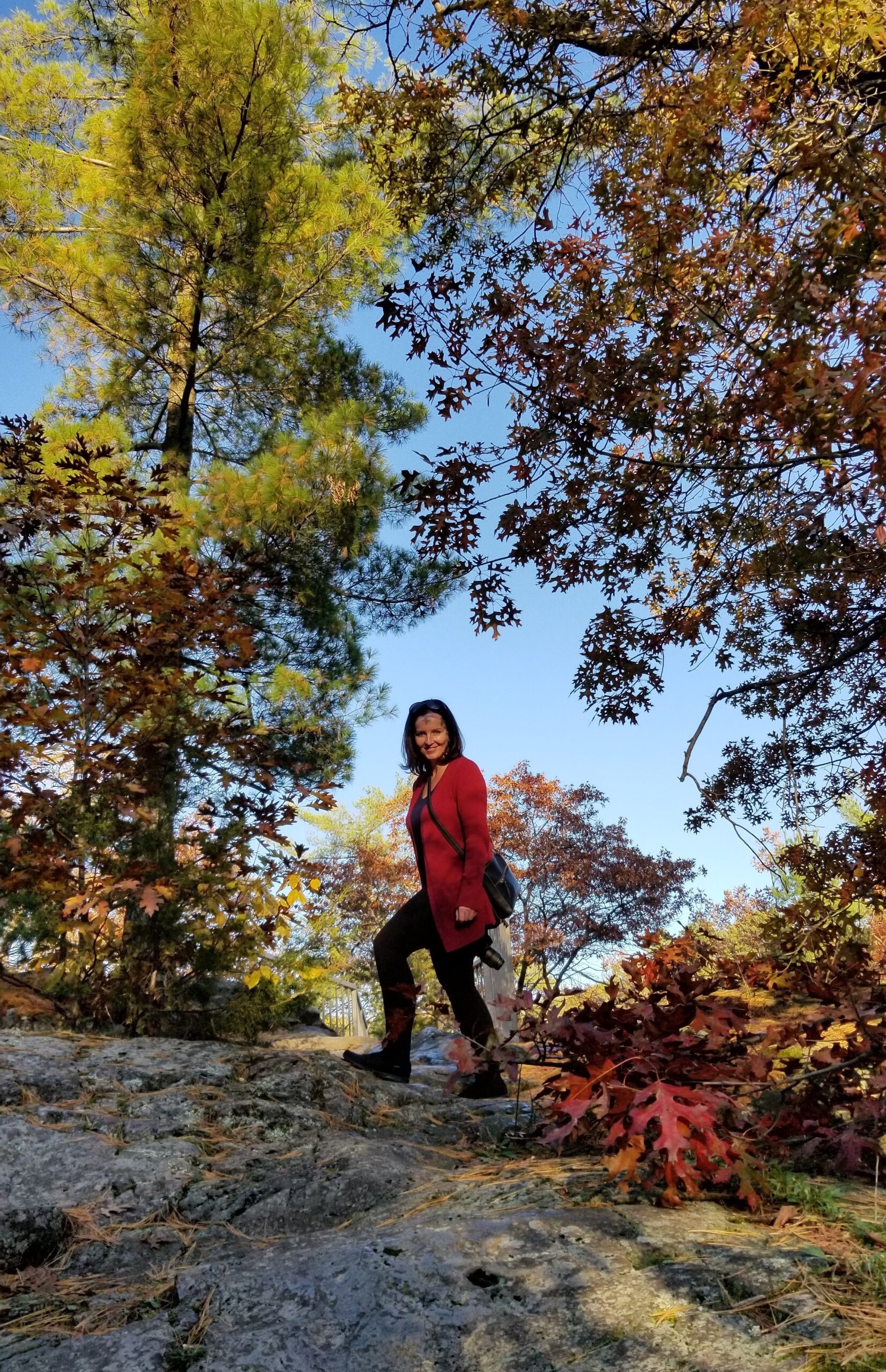 Bernadette Leh - Sunlight Solutions