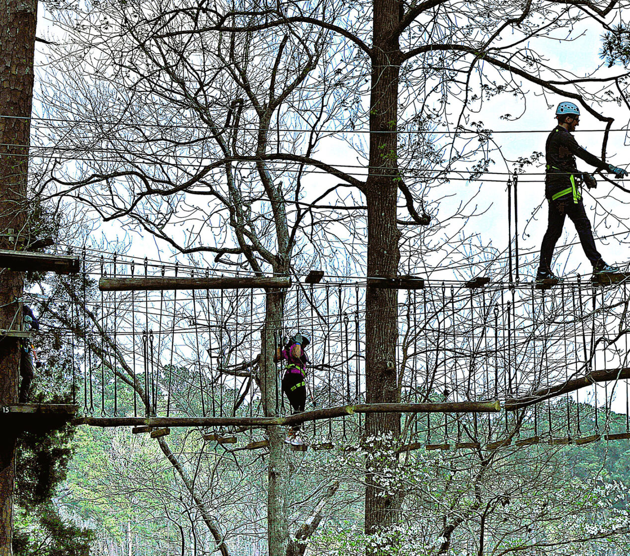 Specialty Insurance - Sunlight Solutions