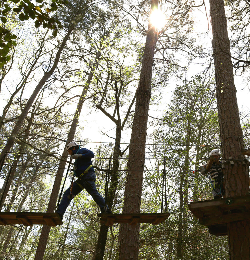 Markets - Sunlight Solutions