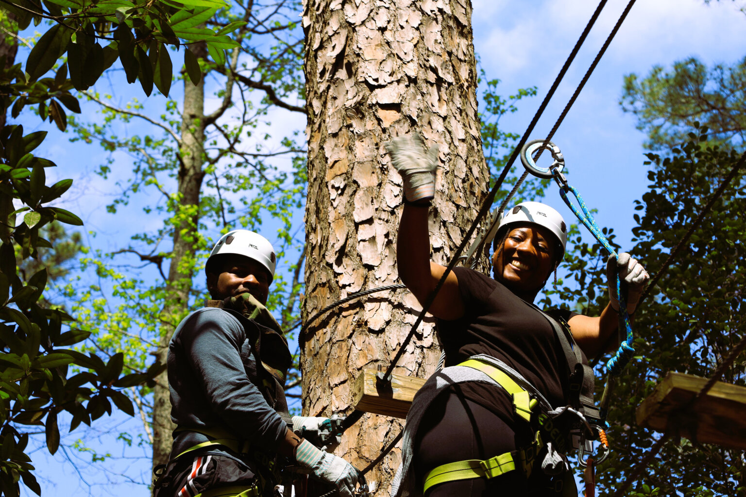 Careers - Sunlight Solutions